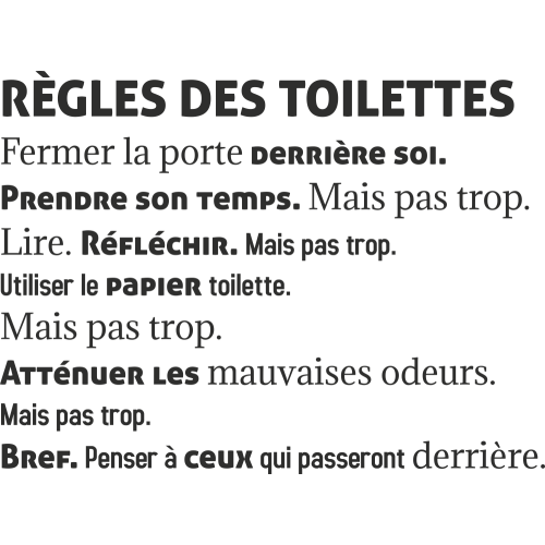 Sticker Les Règles Toilettes - ref.12079 | Autocollants-Stickers