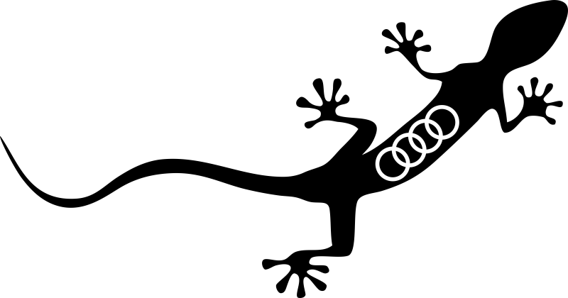 Orange Gecko Logo
