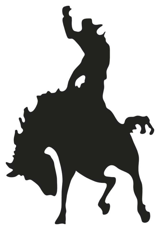 rodeo - ref.137 | Autocollants-Stickers