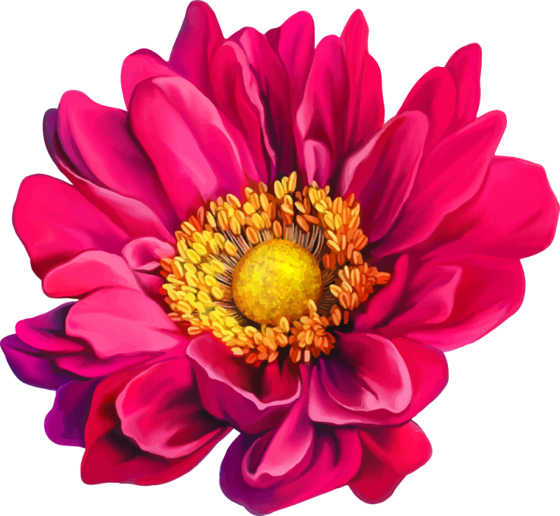 Autocollants Fleur Rose - ref.d10374 | Autocollants-Stickers