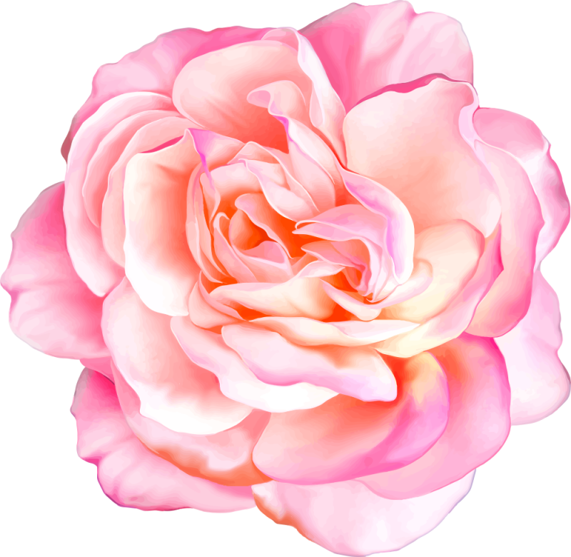 Autocollants Fleur Rose 1 - ref.d10377 | Autocollants-Stickers