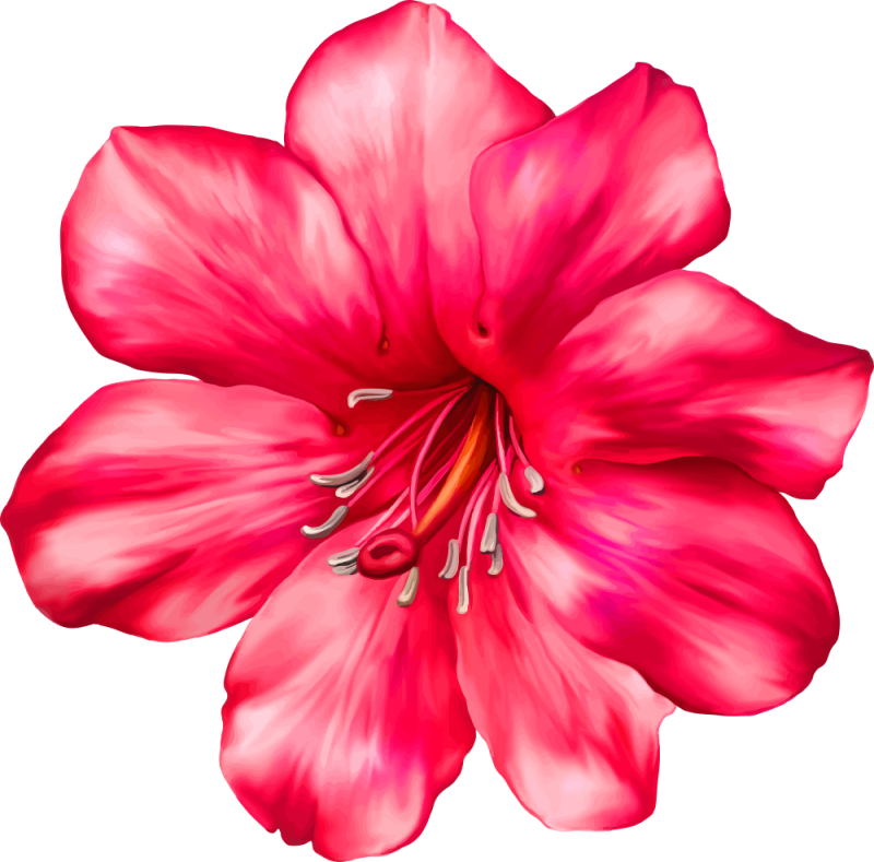 Autocollants Fleur Rose 2 1 - ref.d10380 | Autocollants-Stickers