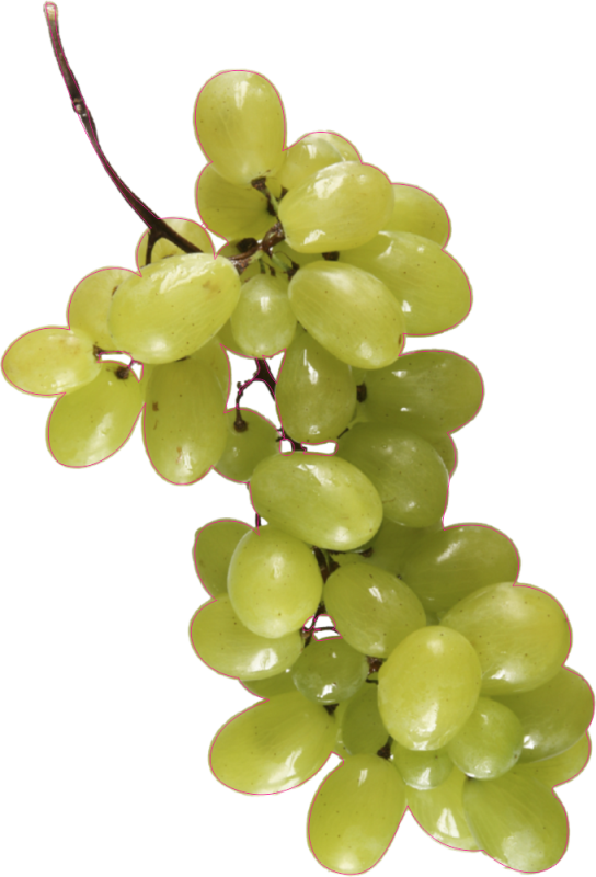 Autocollant Fruits et legumes Raisins | Autocollants-Stickers