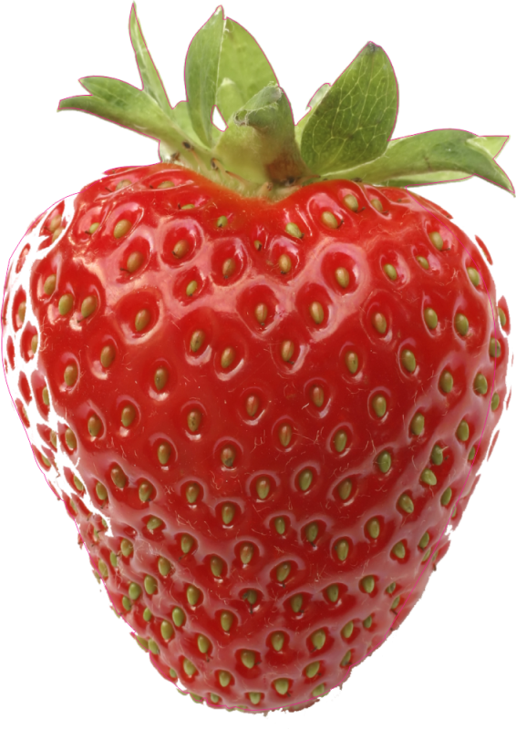 Fraise - ref.sa006 | Autocollants-Stickers