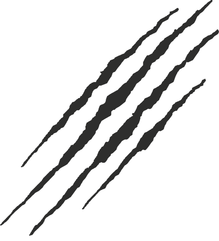 Sticker Griffure | Autocollants-Stickers