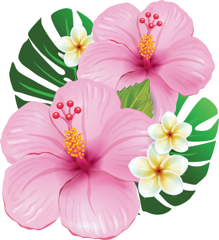 Autocollants Fleur Tropical 5 | Autocollants-Stickers